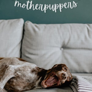 Retirement Banner We Will Miss You Office Party Coworker - Etsy