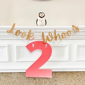 A Little Boo is Turning Two Banner, Fall 2nd Birthday Sign, Second ...