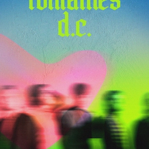 Fontaines D.C. Romance Album Poster - Etsy