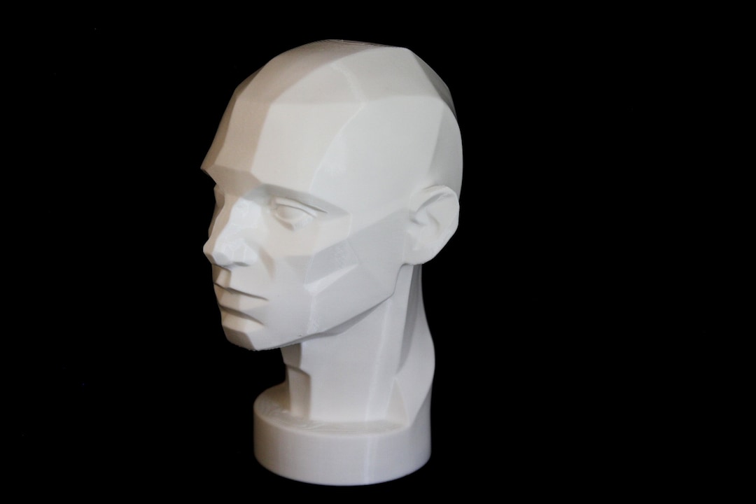 Planar Head Model, Asaro Head Model, Multi Faceted Figurine 3D Printed ...