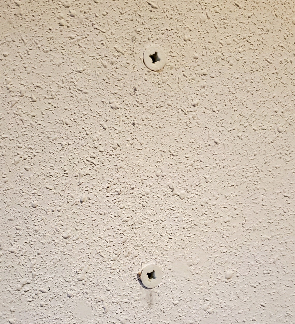 Bike Wheel Wall Hanger Display Compatible With Road, MTB & Gravel ...