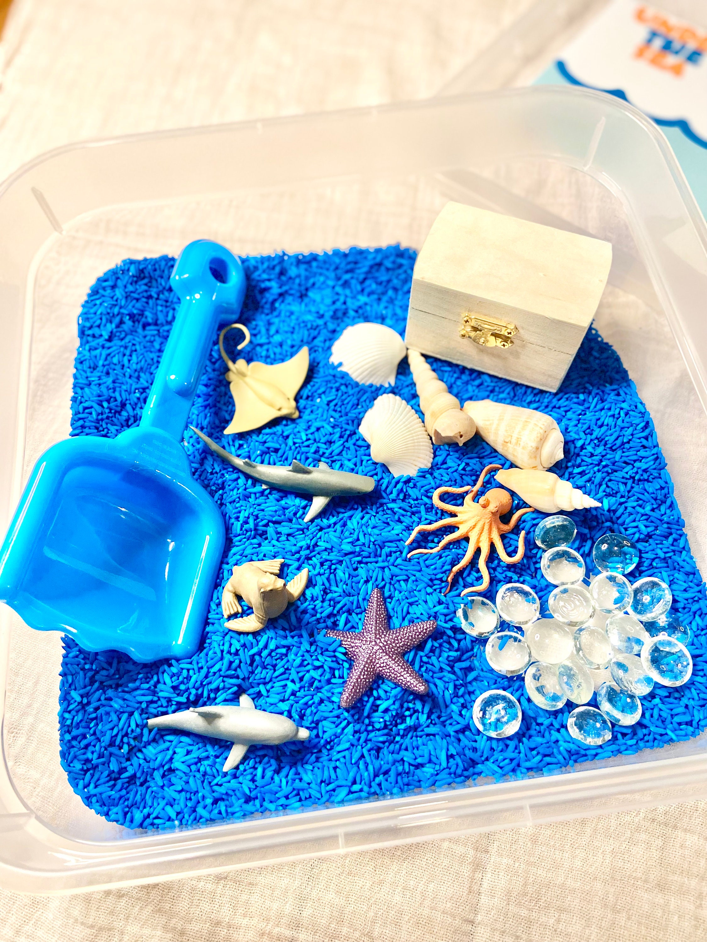 Ocean Themed Sensory Bin, Sea Animals - Etsy