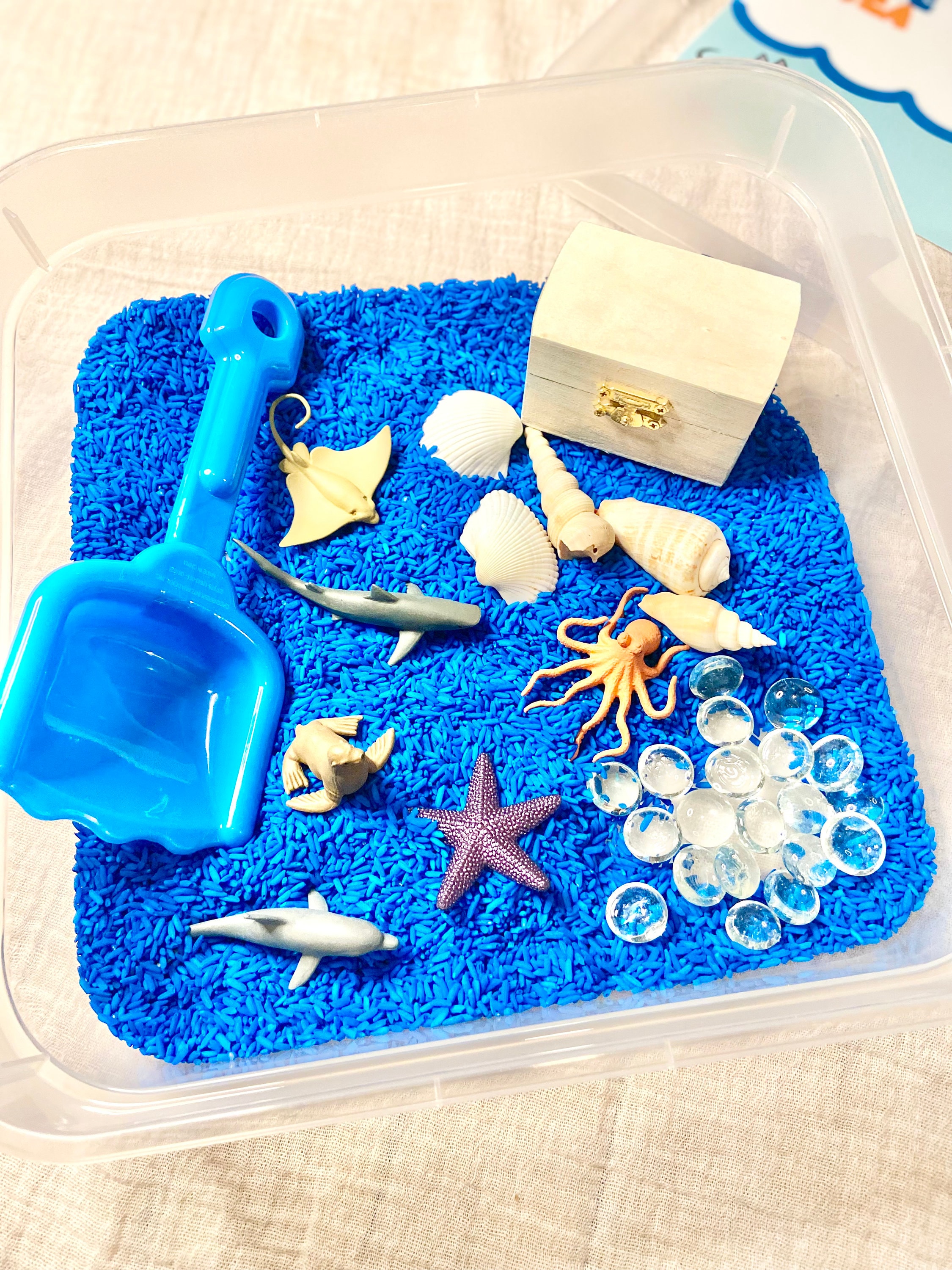 Ocean Themed Sensory Bin, Sea Animals - Etsy