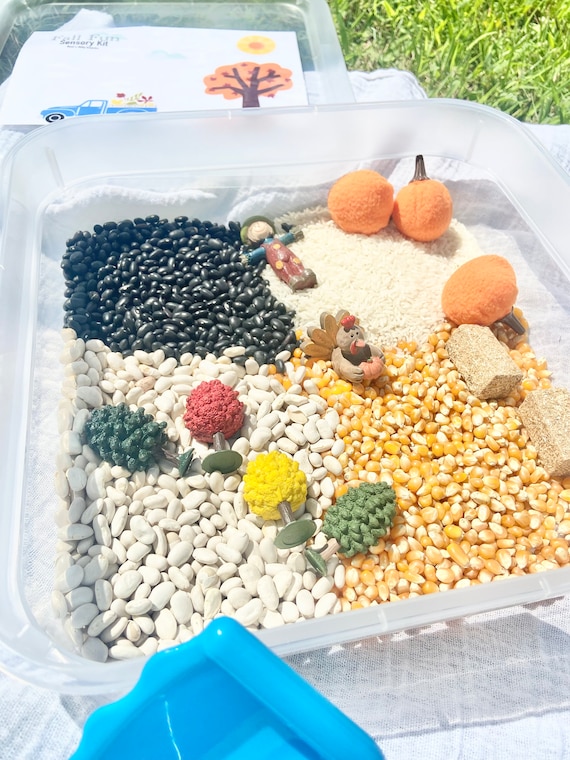 Fall Themed Sensory Bin Autumn Sensory Box - Etsy