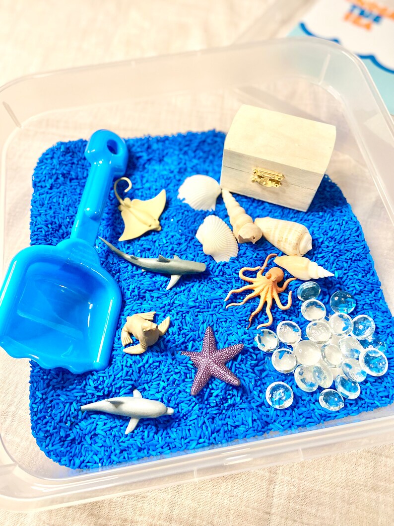 Ocean Themed Sensory Bin, Sea Animals - Etsy