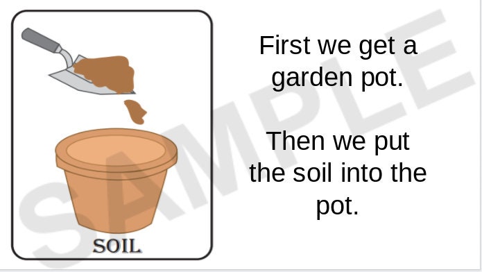 Printable Plant Life Cycle for Kids - Etsy