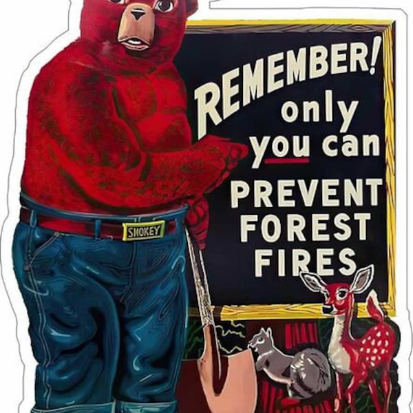 Smokey Bear Poster Etsy