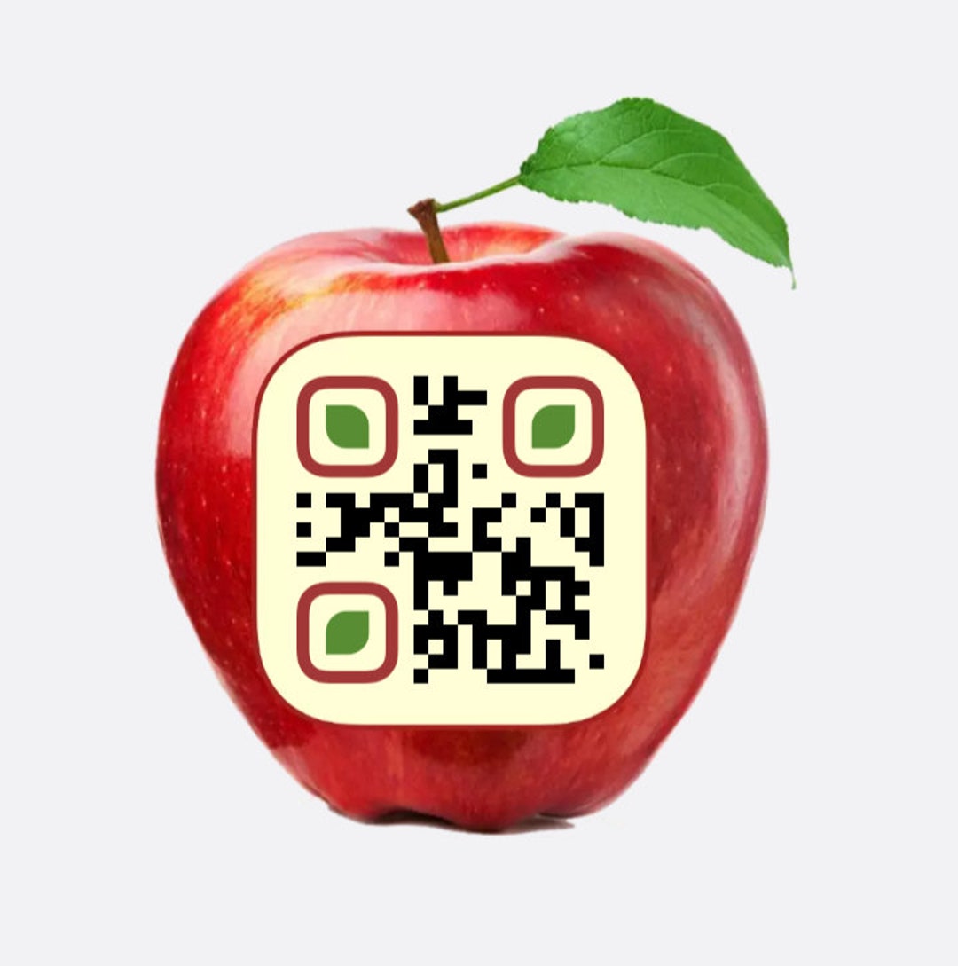 Custom Designed QR Codes Static Dynamic and Animated - Etsy