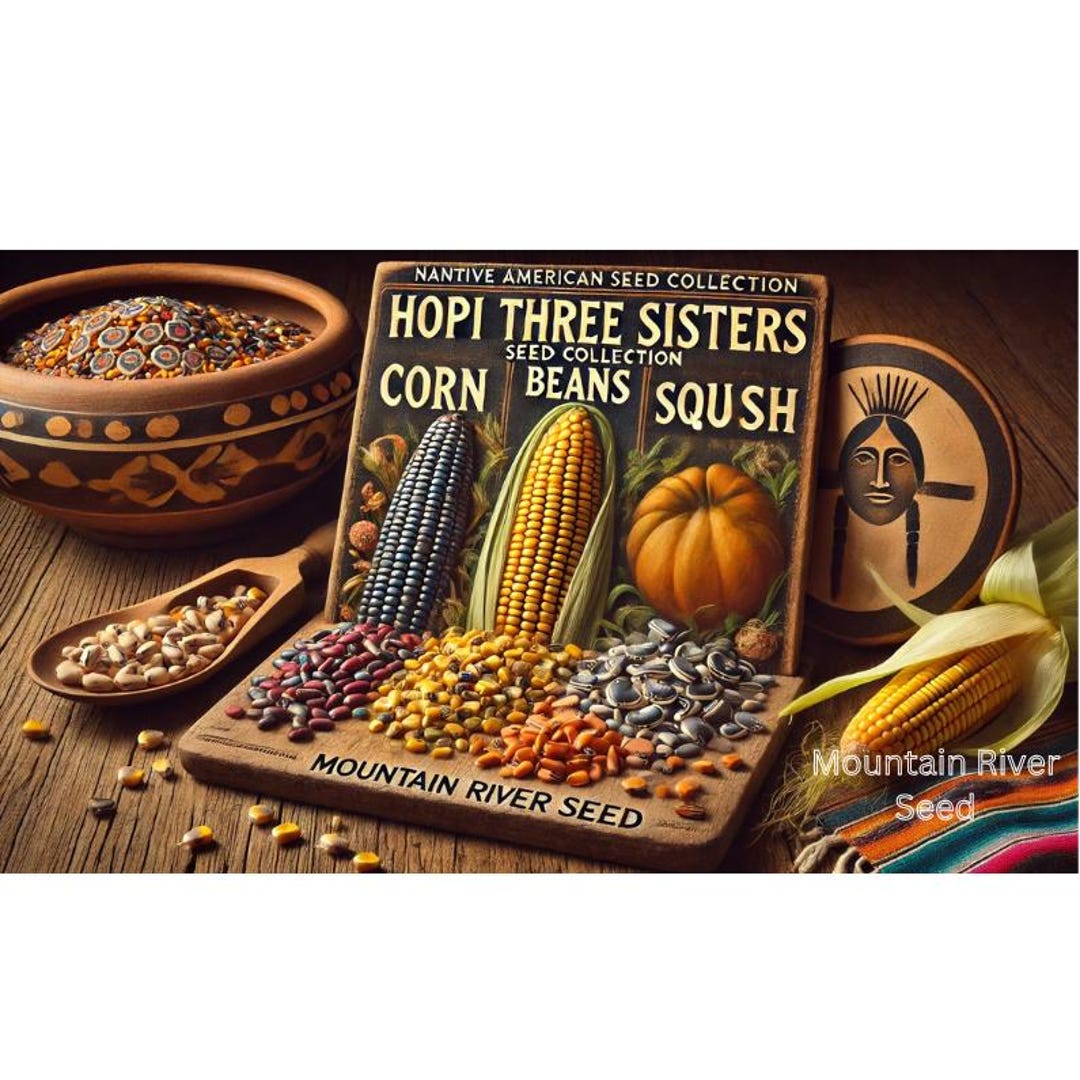 New! Hopi Three Sisters Native American Seed Collection - Native ...