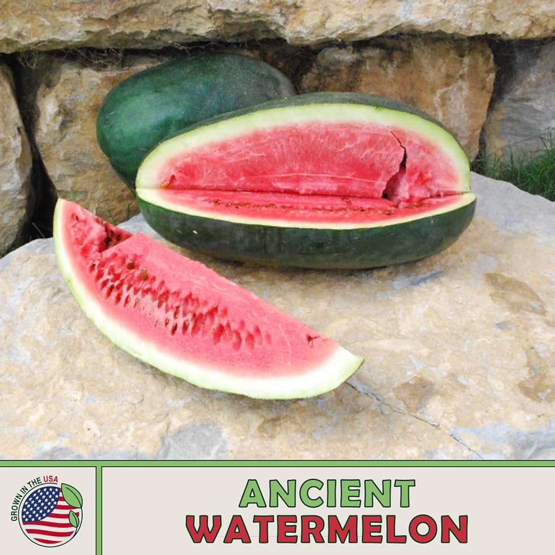 Art Combe's Ancient, Watermelon Seeds: Native Heirloom, Non-gmo - Etsy
