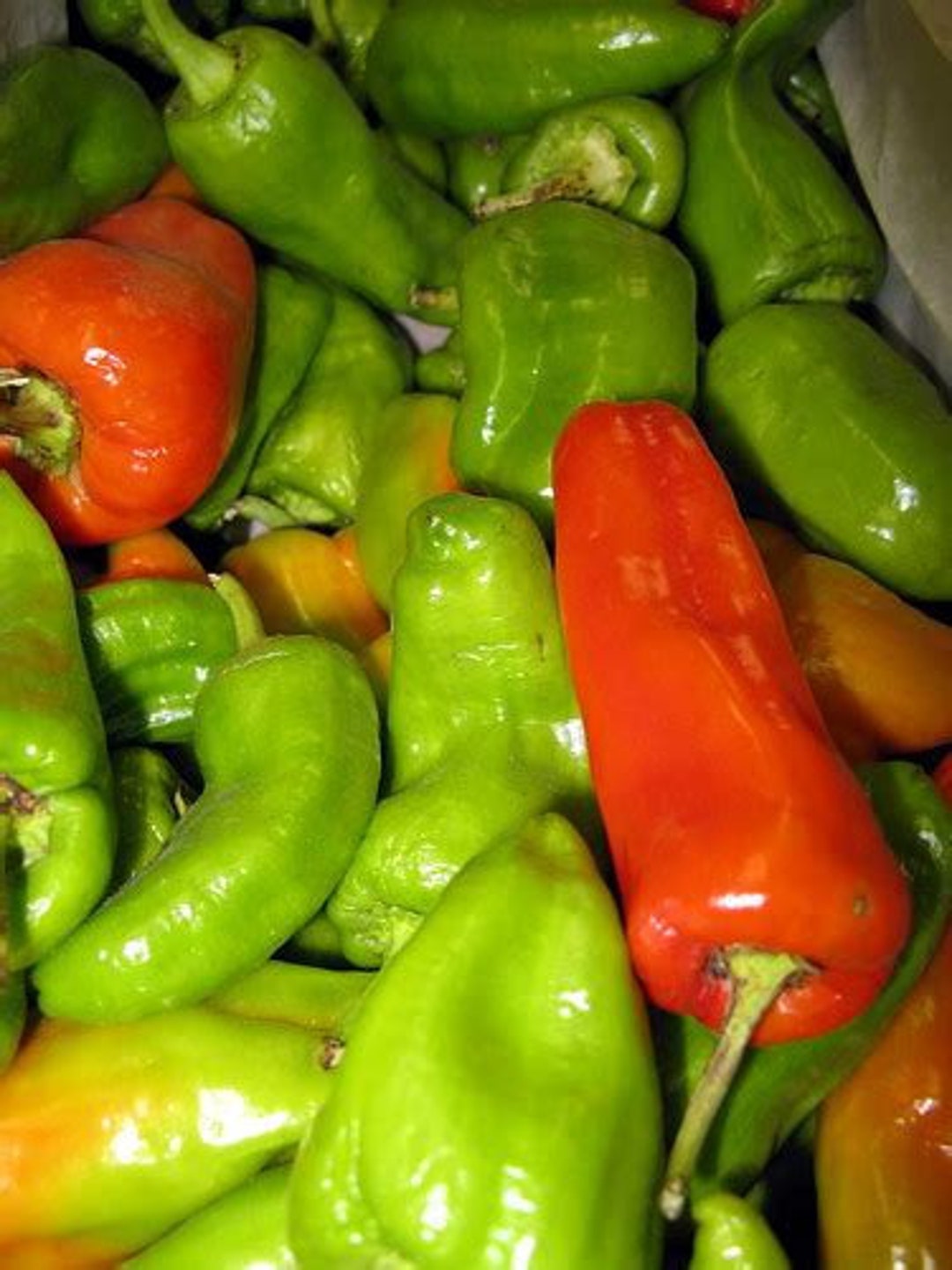 Cubanelle Sweet Pepper - Etsy