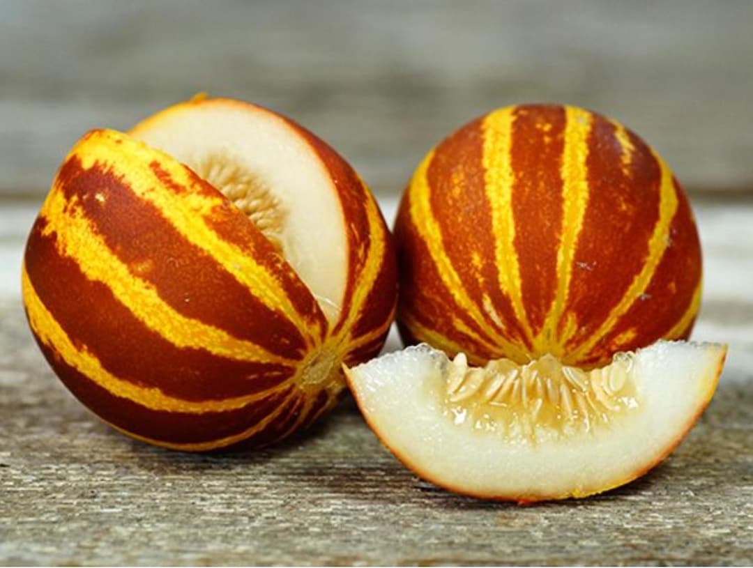 Rich Sweetness 132 Melon Seeds, Russian Heirloom, Organic Non-gmo - Etsy