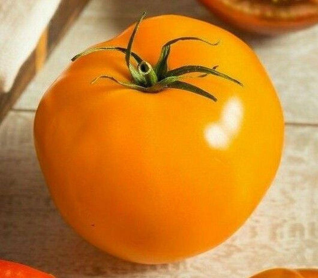 20+ Golden Jubilee, Tomato, Organic Heirloom Garden Seeds - Non-gmo ...