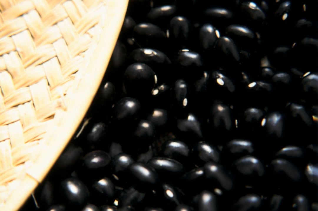 Black Coco, Dry Bush Bean, Organic Heirloom Vegetable & Herb Seeds ...