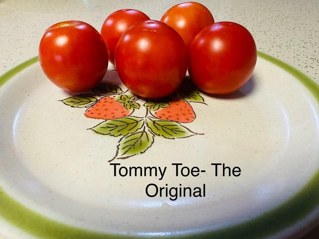Tommy Toe Tomato Seeds: 20+ Heirloom Organic Garden Seeds - Etsy