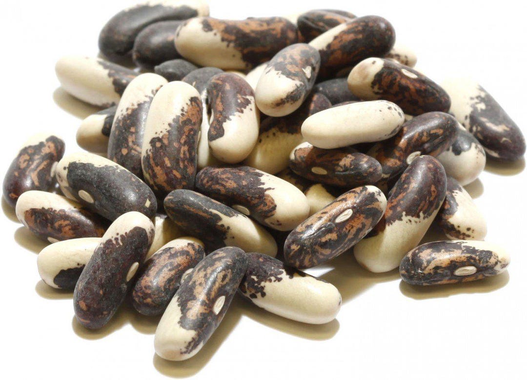 Dapple Grey Bush Bean, Rare Organic Heirloom Garden Seeds - Non-gmo ...