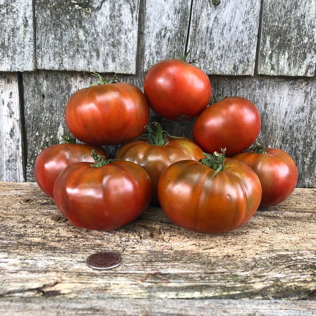 Paul Robeson Tomato Seeds, Russian Heirloom, Organic Non-gmo - Etsy