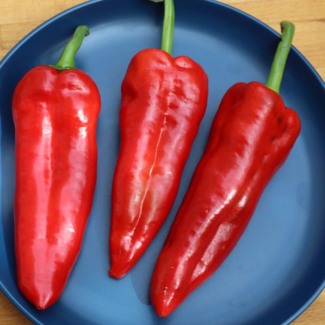 Lumbre XX Hot Pepper Seeds: Heirloom Hatch Chile, Non-gmo - Etsy