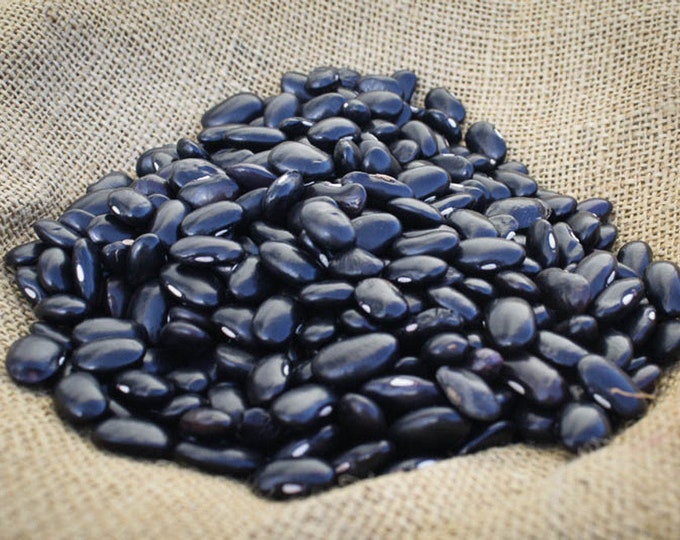 25 Heirloom Puerto Rican Black Bean SEEDS Pole Bean Seed Black Beans ...