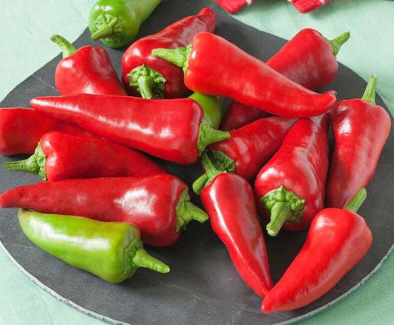 Fresno Chile Pepper Seeds: Heirloom, Open Pollinated, Organic - Etsy