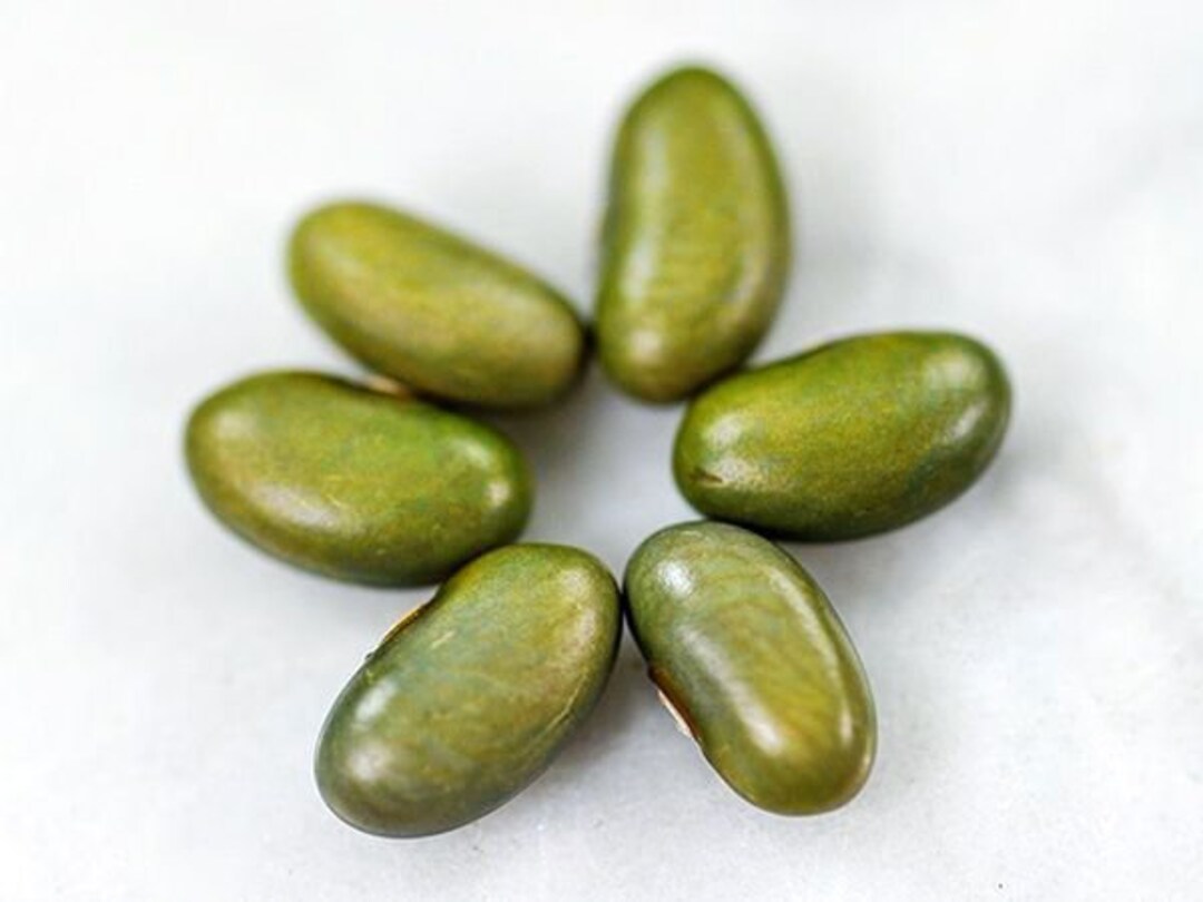 Mbombo, Pole Bean, Rare Kenyan Heirloom Garden Seeds Open Pollinated ...