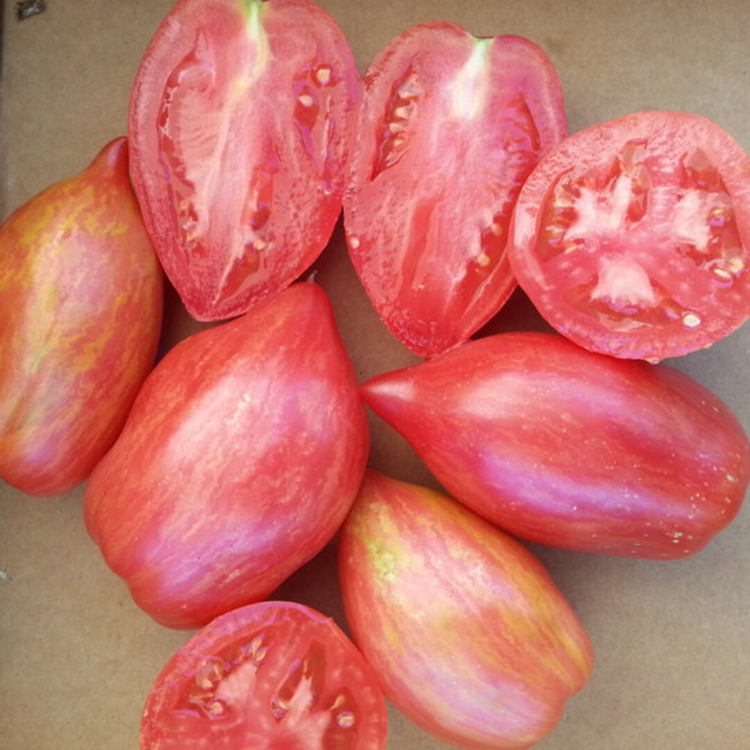 Tomato Streak Lightning Paste Tomato Seeds 20 Heirloom Seeds Grown to ...