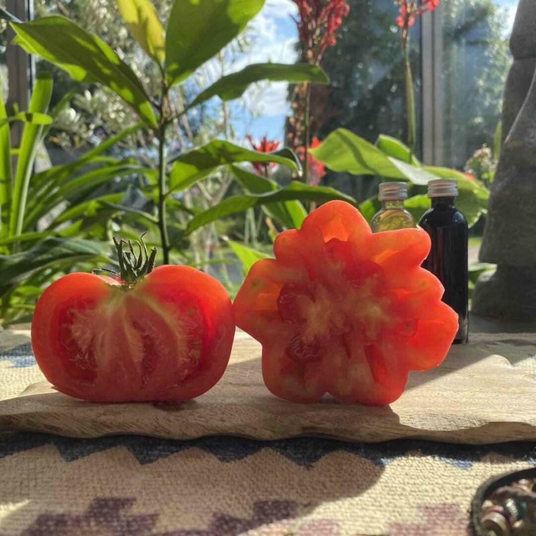 Oaxacan Pink, Tomato, Mexican Heirloom, Heirloom Seeds Grown to Organic ...