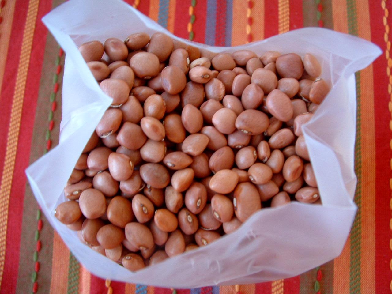 Santa Maria Pinquito Bean Seeds: 50+ California Heirloom Seeds - Etsy