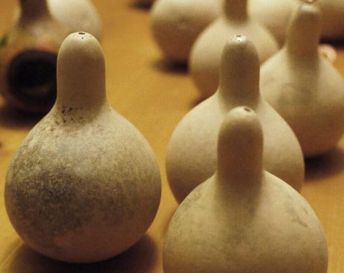 Tennessee Spinner Gourd Seeds - Etsy