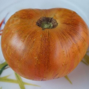 20+ Dwarf Confetti, Dwarf Tomato, Heirloom Garden Seeds Open Pollinated ...