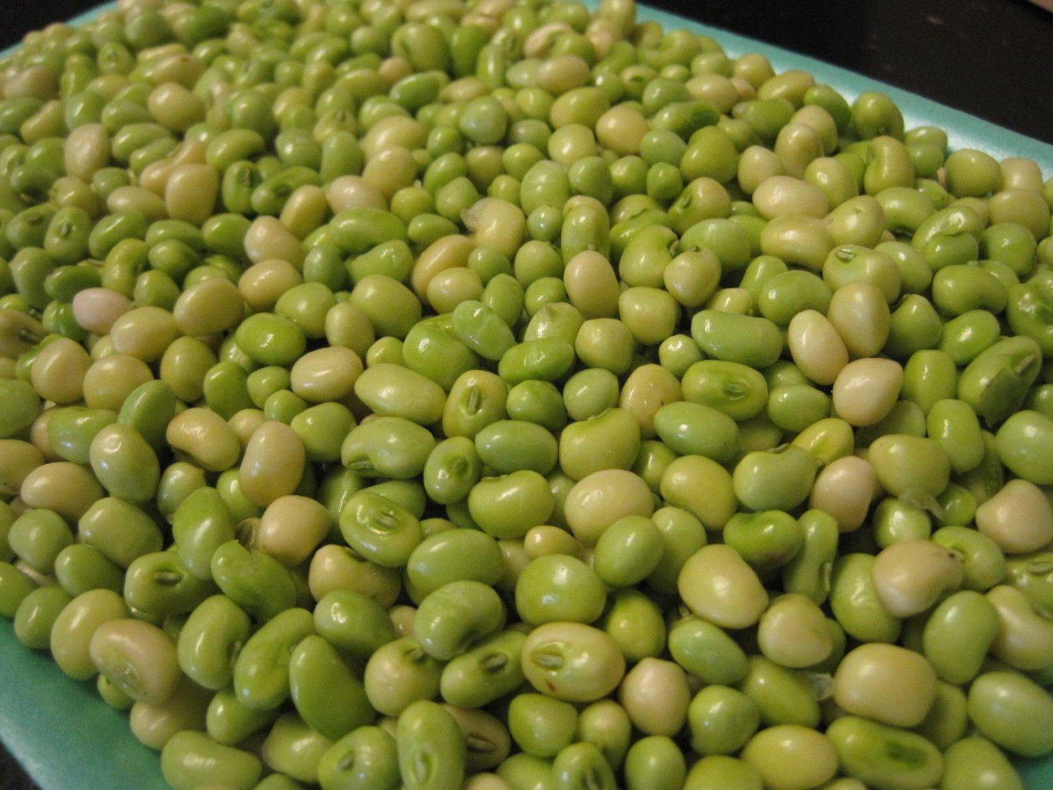 Lady Cream Cowpea Seeds: Rare Heirloom, Organic, Pollinator-friendly - Etsy