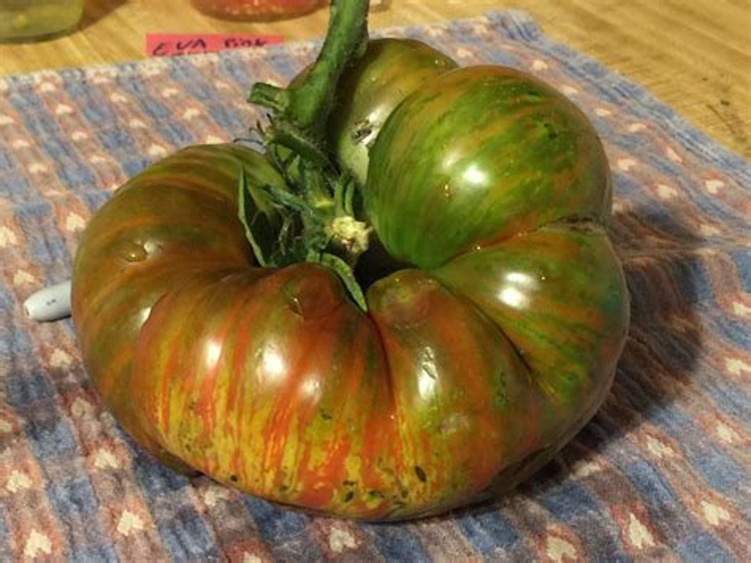 Large Barred Boar, Beefsteak Tomato , Heirloom Seeds Grown to Organic ...