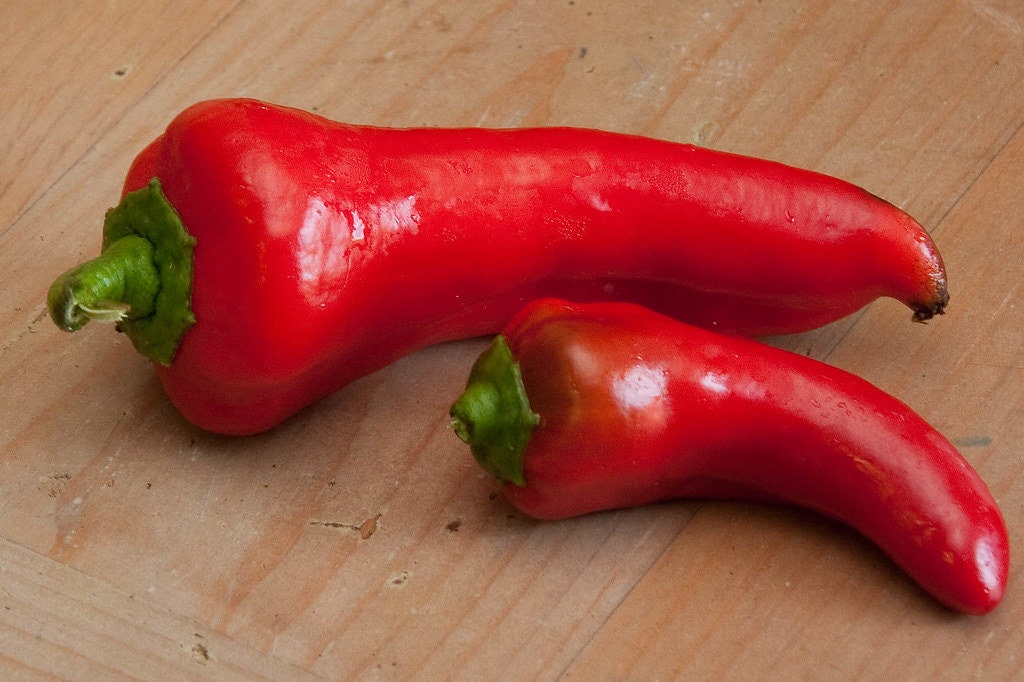 Tolli's Italian Sweet Pepper Heirloom Seed Semi Rare Italian Heirloom ...