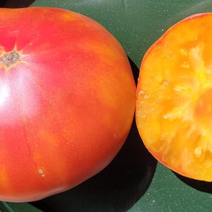 20+ Dwarf Confetti, Dwarf Tomato, Heirloom Garden Seeds Open Pollinated ...