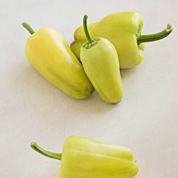 Rare Pepper Seeds - Etsy