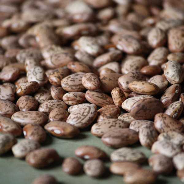 Pinto Beans - Etsy