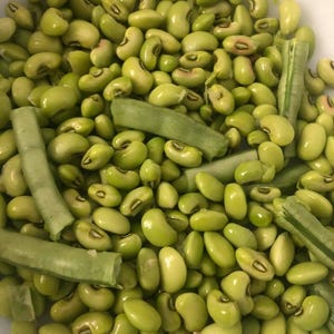 Texas Big Boy Cowpea Seeds: Heirloom Southern Garden Vegetable - Etsy