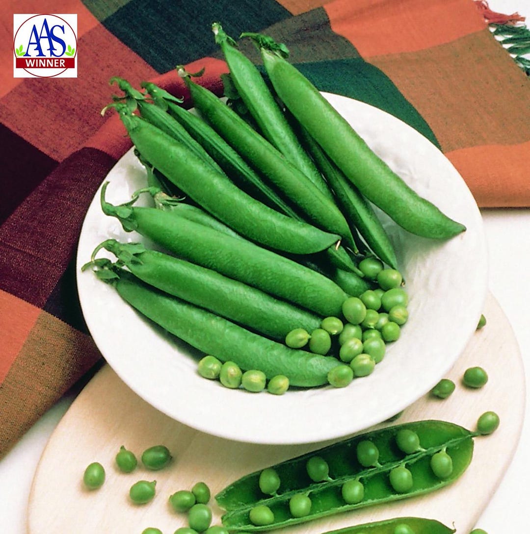 Mr. Big Pea Heirloom Garden Seeds: Organic English Pea, Non-gmo - Etsy