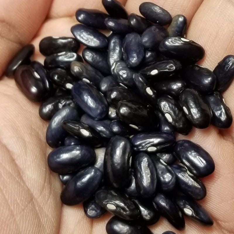 Cherokee Tears - Etsy