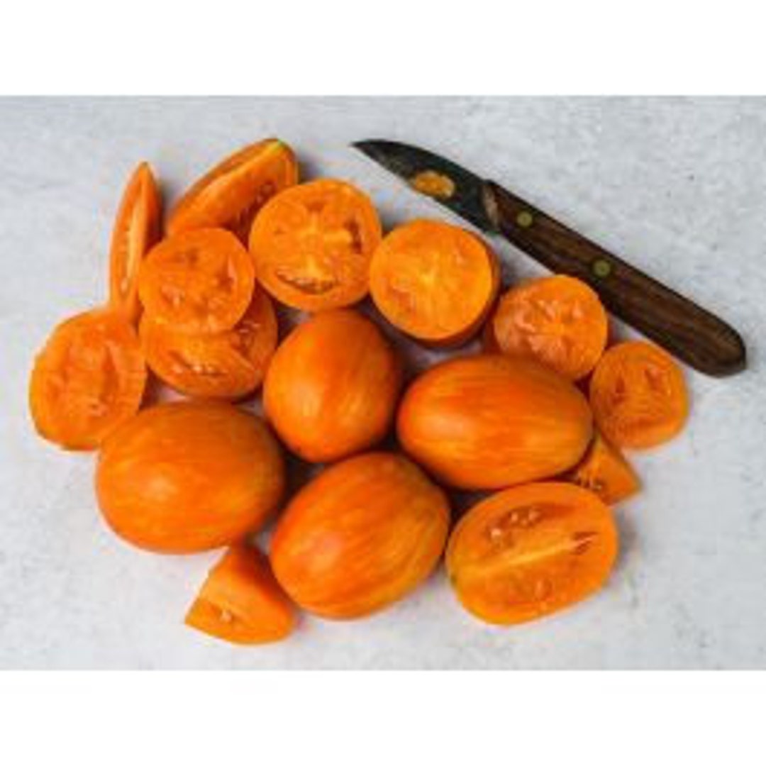 Tomato Apricot Zebra Cream of the Crop 15 Heirloom - Etsy