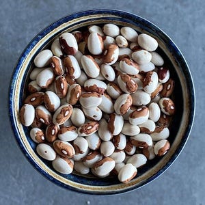 Hidatsa Shield Figure, Pole Dry Bean, Open Pollinated Garden Seeds ...