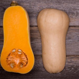 Sonca Orange Butternut Squash Seeds: Hungarian Heirloom, Non-gmo - Etsy