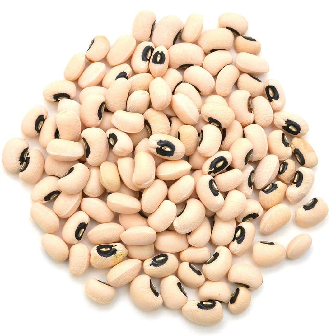 Fast Lady Cowpea Seeds: Heirloom Bush Bean, Short Season - Etsy