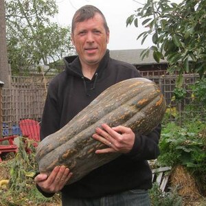 Lunga Di Napoli Winter Squash Seeds: Italian Heirloom, Non-gmo - Etsy