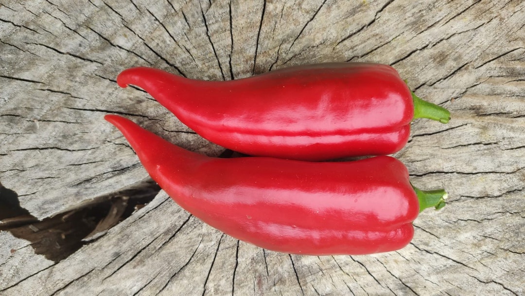 Chervena Chushka Sweet Pepper Seeds Bulgarian Heirloom Sweet Roasting ...