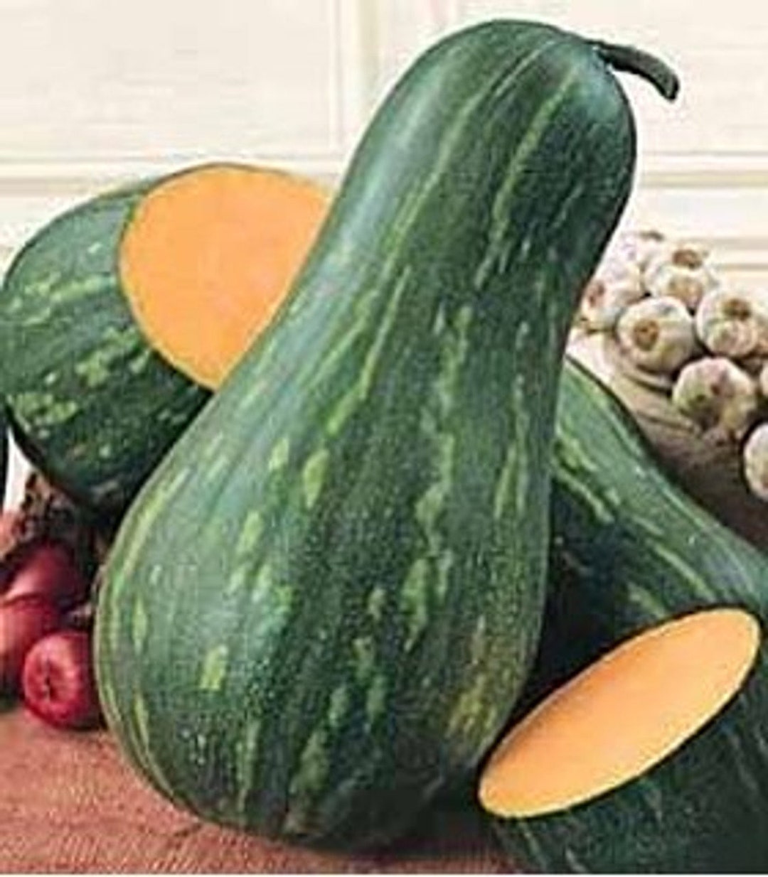 Winter Squash Lunga Di Napoli Italian Heirloom Squash 10 Seeds Zucca ...