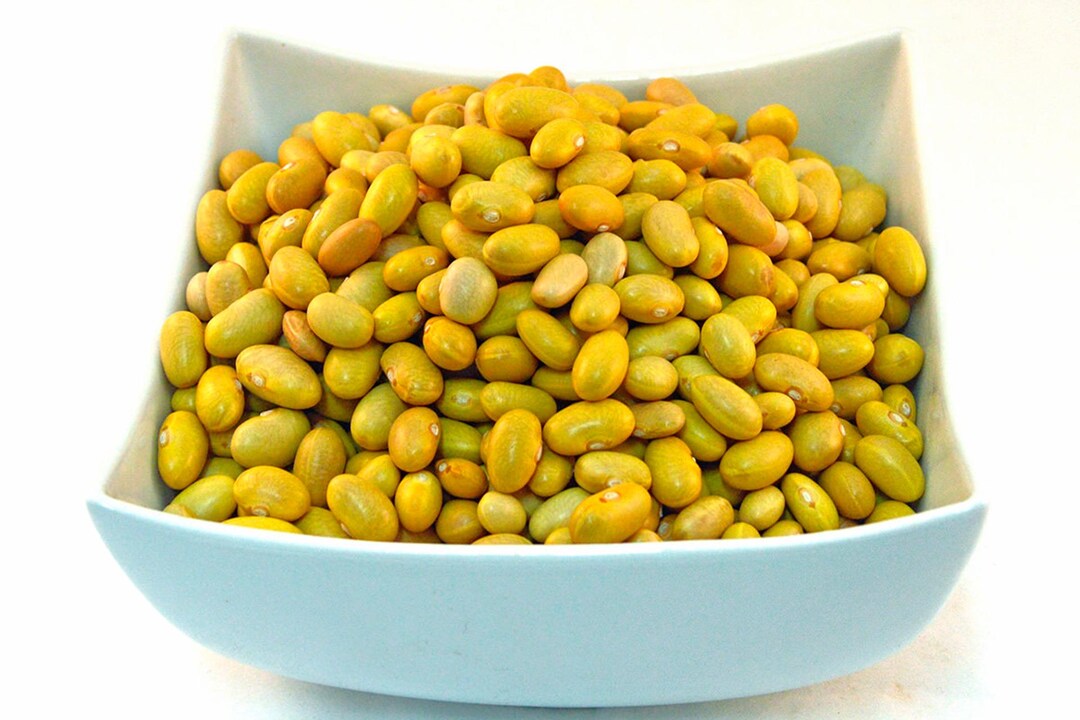 Mayocoba Bean Seeds: Organic Heirloom Bush Bean, Peruano Variety - Etsy
