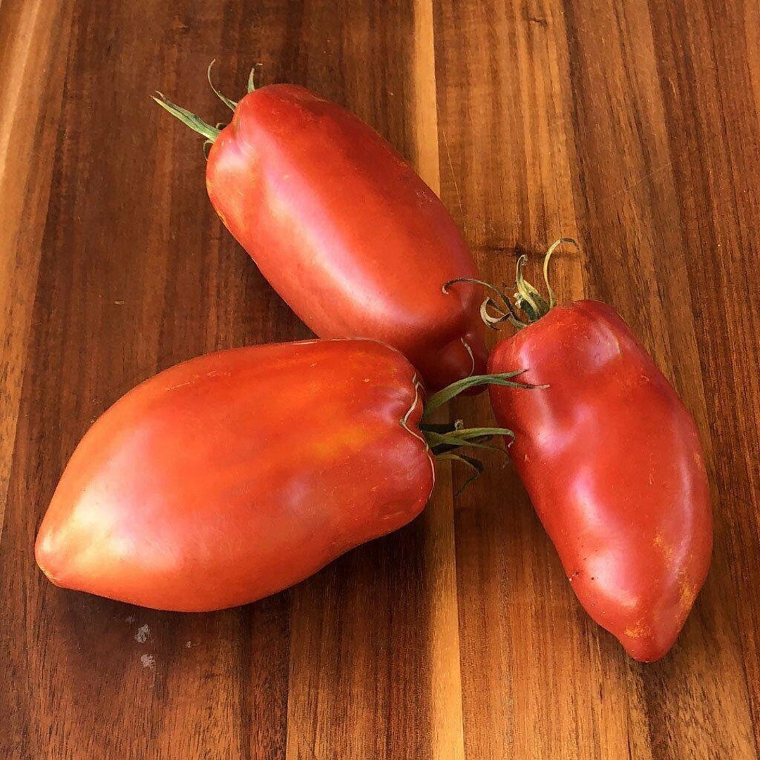 Federle, Paste Tomato, 20+ Heirloom Garden Seeds Open Pollinated ...