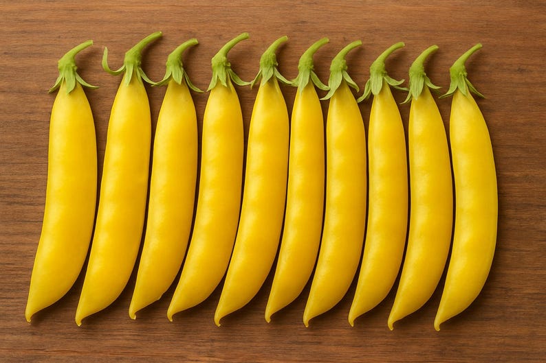 Golden Yellow Snap Pea Seeds: Heirloom Non-gmo Vegetable - Honey Snap ...