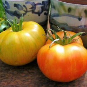 20+ Dwarf Confetti, Dwarf Tomato, Heirloom Garden Seeds Open Pollinated ...